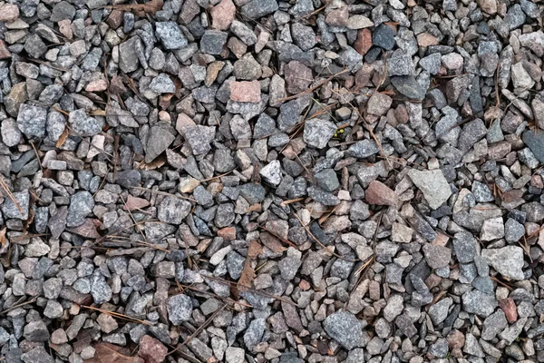 Grava y tableros Stock Photos, Royalty Free Grava y tableros Images ...