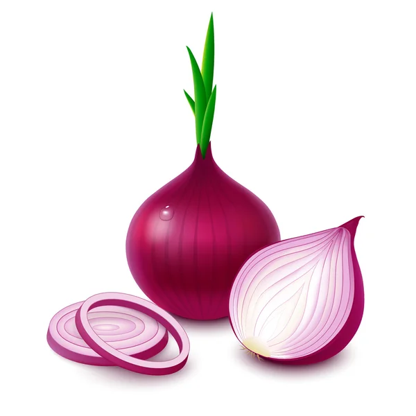 Animated Onion