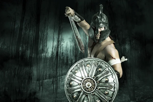 Gladiator Stock Photos, Royalty Free Gladiator Images | Depositphotos