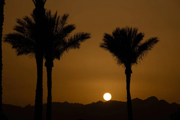 Palm springs sunset Stock Photos, Royalty Free Palm springs sunset ...