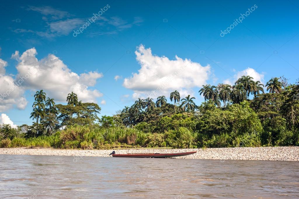Amazonian rainforest. Napo River. Ecuador — Stock Photo © xura #53683509
