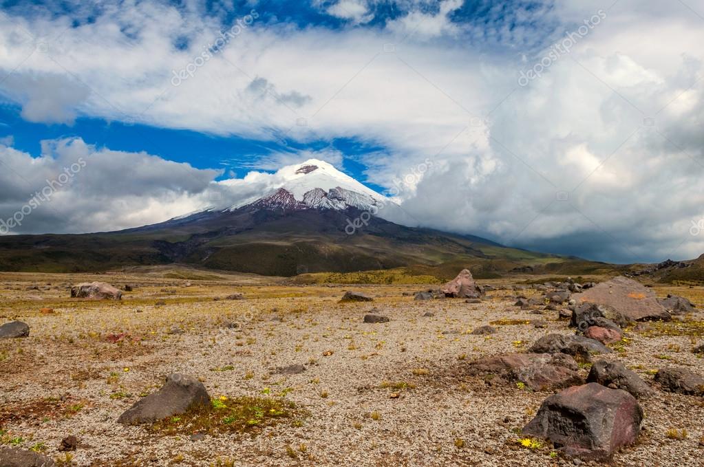 Volcán Cotopaxi sobre la meseta, Altiplano Andino del Ecuador 2024