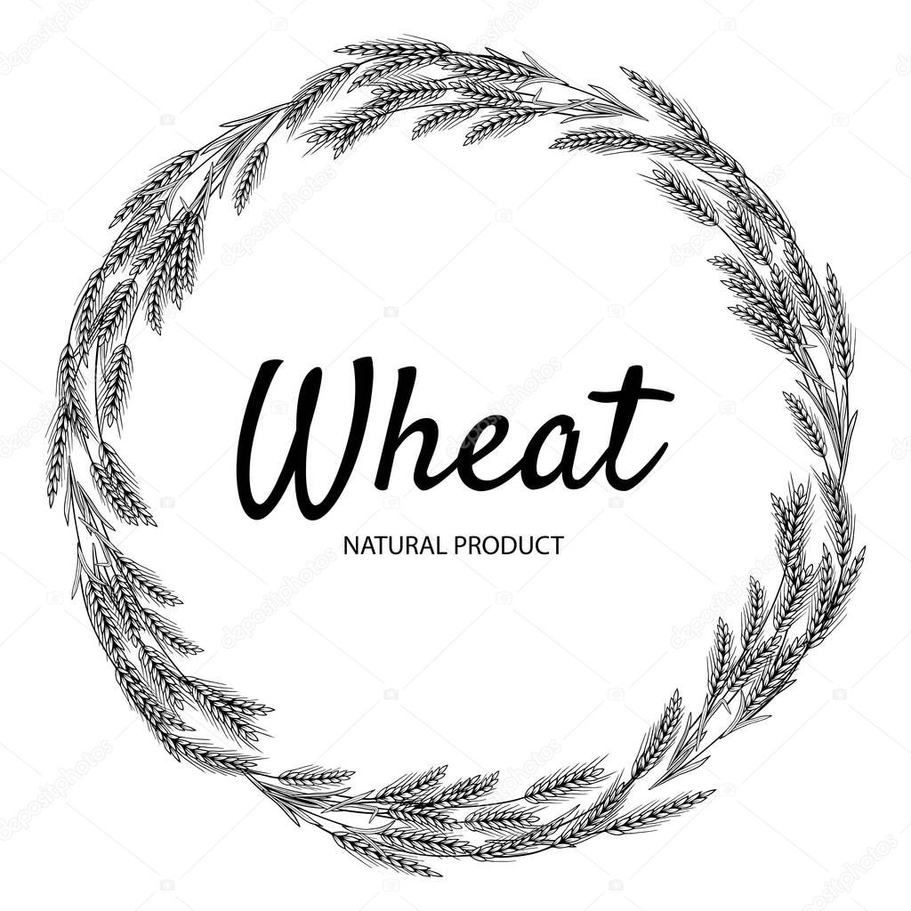 Corona floral vectorial con espigas de trigo. Ilustración dibujada a ...