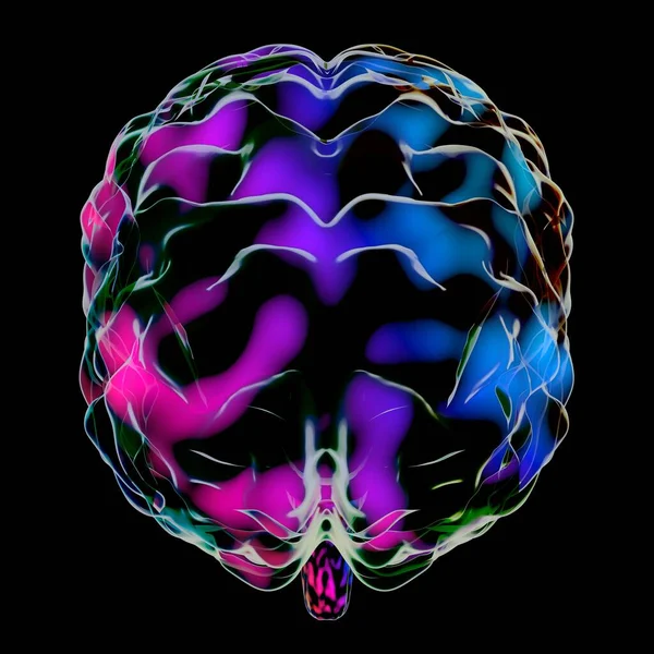 Walking brain Stock Photos, Royalty Free Walking brain Images ...