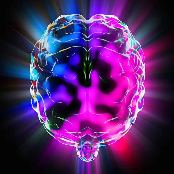 Human brain light Stock Photos, Royalty Free Human brain light Images ...