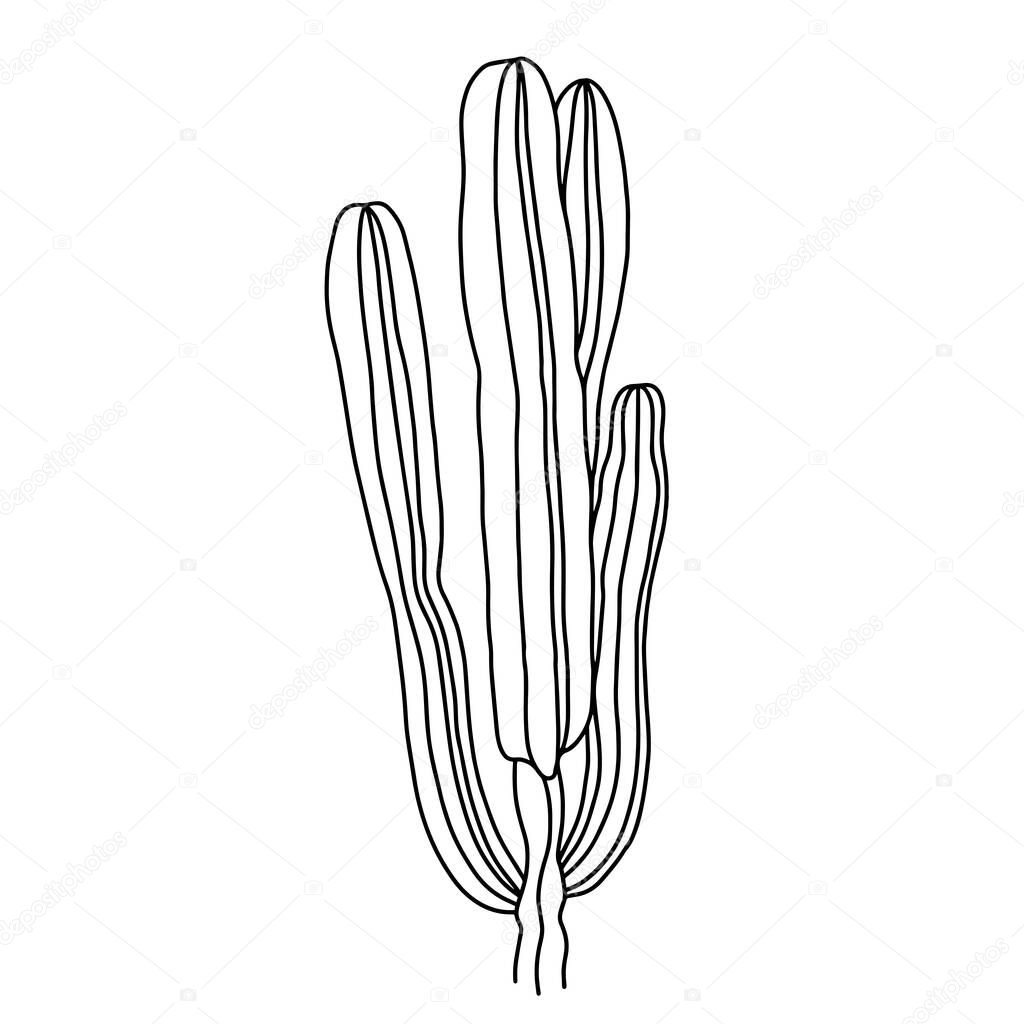 ocho, once, cinco, cuatro, nueve, uno, siete, seis, diez, tres, doce ...