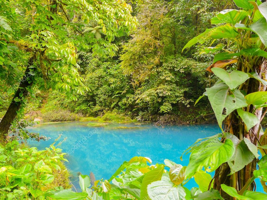 Rio Celeste in Tenorio volcano national park Stock Photo by ©nicousnake ...