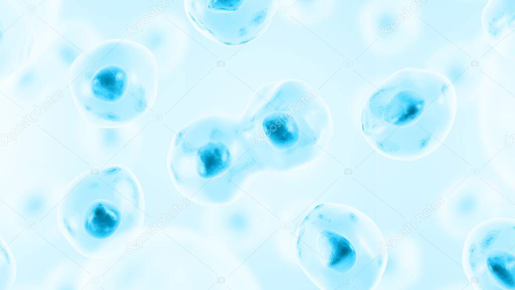 División celular. La célula se divide en dos células. Color azul ...