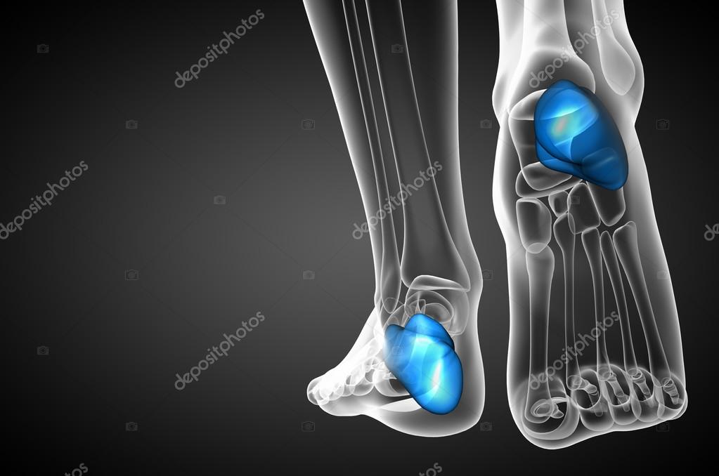 Anatomiekostipatnikosti