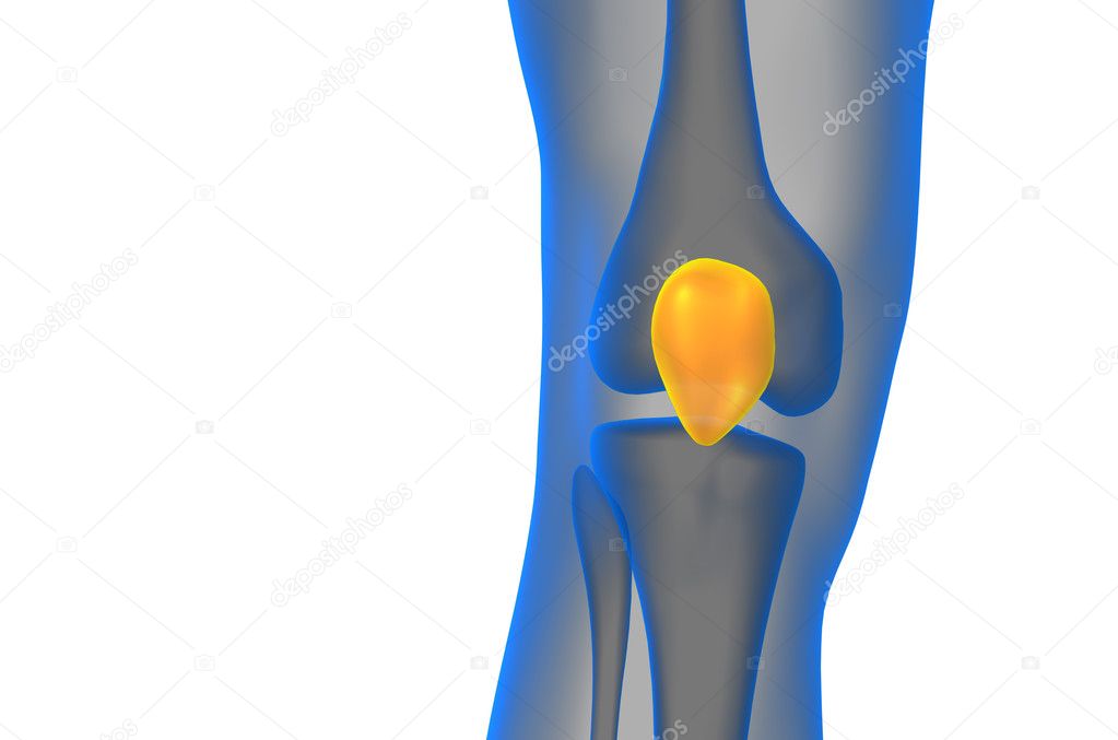 3d hacer ilustración médica del hueso de la rótula 2023