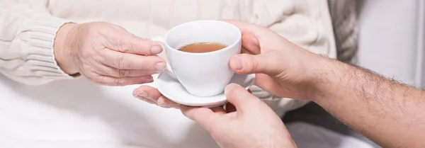 Serving hot tea - Stock Image - Everypixel