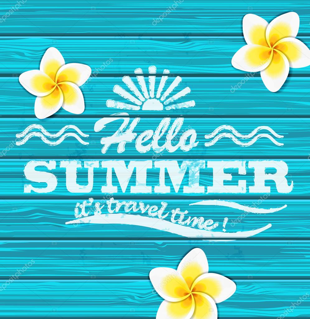 Hola verano. Vector . Vector de stock #103136070 de ©tandaV