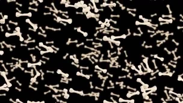 Flying Many Bones Black Background Dog Bone Icon Pet Food — Stock Video ...