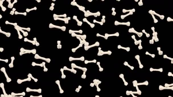 Flying Many Bones Black Background Dog Bone Icon Pet Food — Stock Video ...