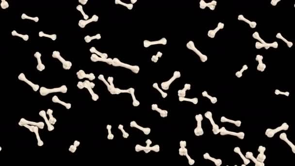 Flying Many Bones Black Background Dog Bone Icon Pet Food — Stock Video ...
