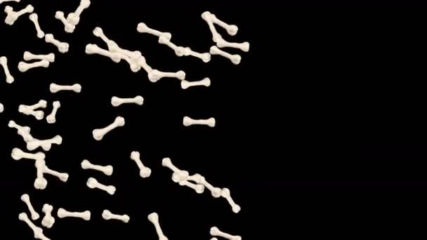 1,162 Knee anatomy Videos, Royalty-free Stock Knee anatomy Footage ...