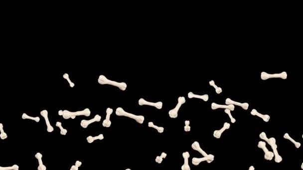 Flying Many Bones Black Background Dog Bone Icon Pet Food — Stock Video ...
