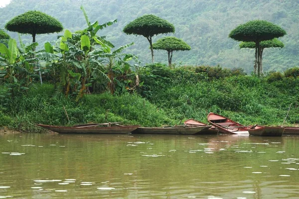 Boat canopy Pictures, Boat canopy Stock Photos & Images | Depositphotos®