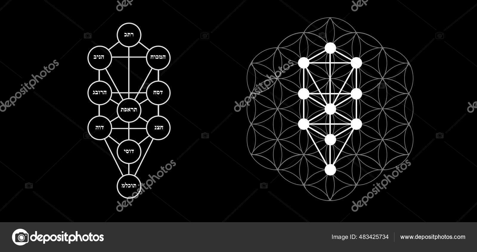 Kabbalah vector symbol isolated. Sacred geometry and tree of sefirot ...