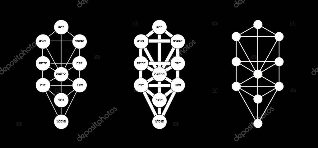 Símbolo vectorial de Cabalá aislado. Geometría sagrada y árbol de ...