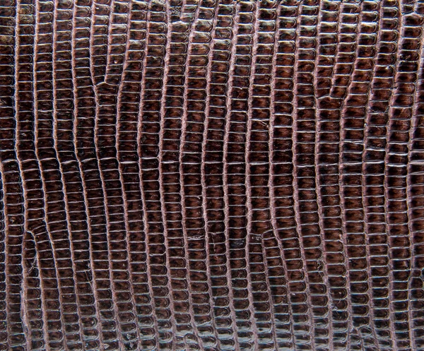 Tabac macro texture Stock Photos, Royalty Free Tabac macro texture ...