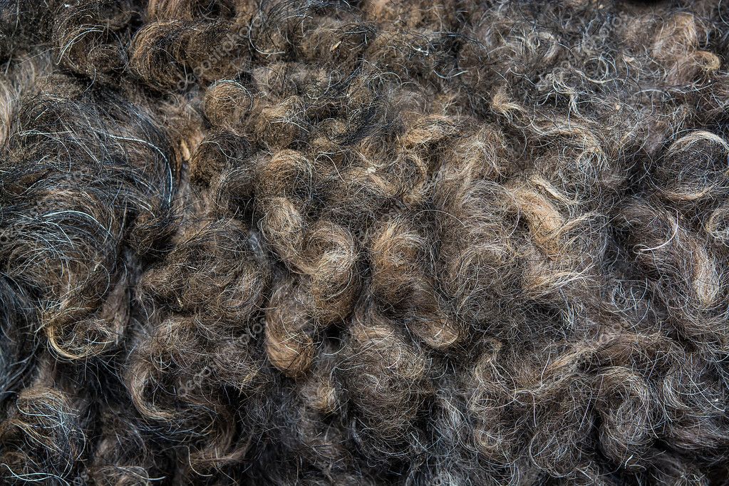 Close Abstract Fur Background — Stock Photo © Jcomp #111258856