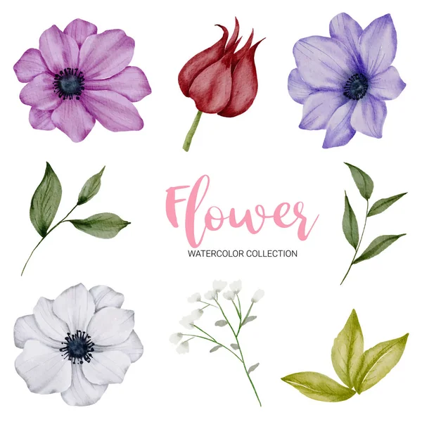980 Flower parts Vector Images | Depositphotos