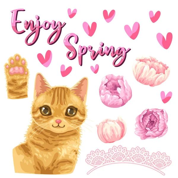 Spring pets Stock Photos, Royalty Free Spring pets Images | Depositphotos