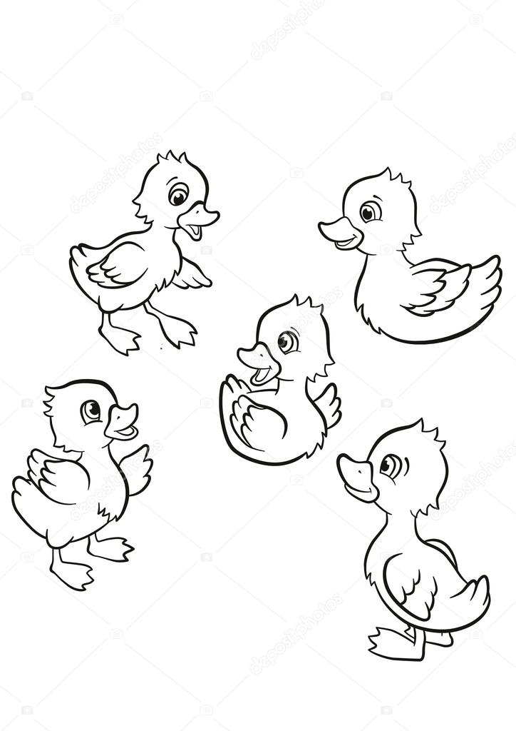 Ducklings Clipart Black And White