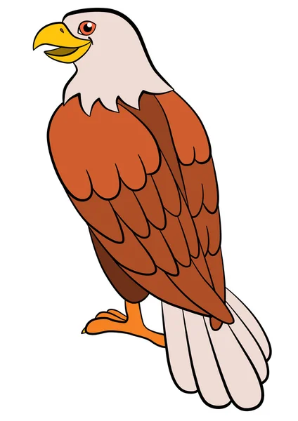 Smiling coloring pages | Coloring pages. Wild birds. Cute smiling eagle ...