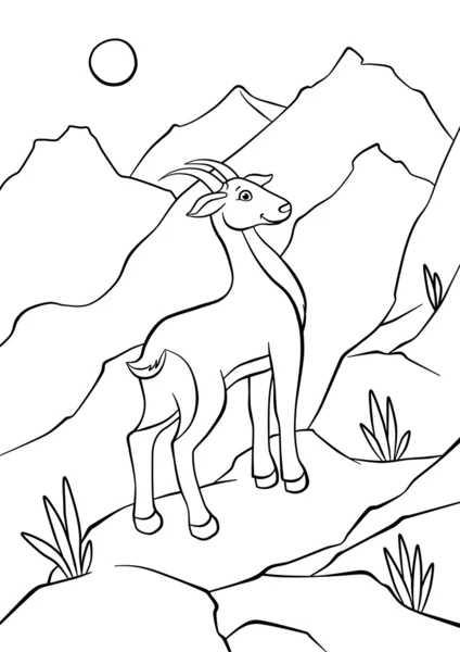 Coloring book pages Stock Photos, Royalty Free Coloring book pages ...