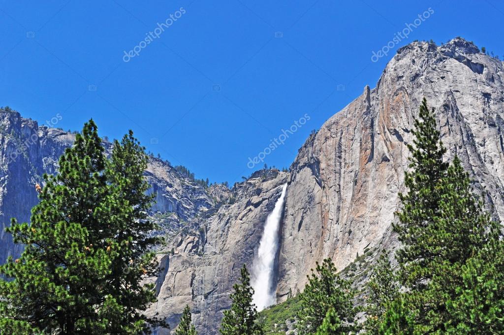 California, EE.UU.: vista aérea de las secuoyas gigantes y las ...