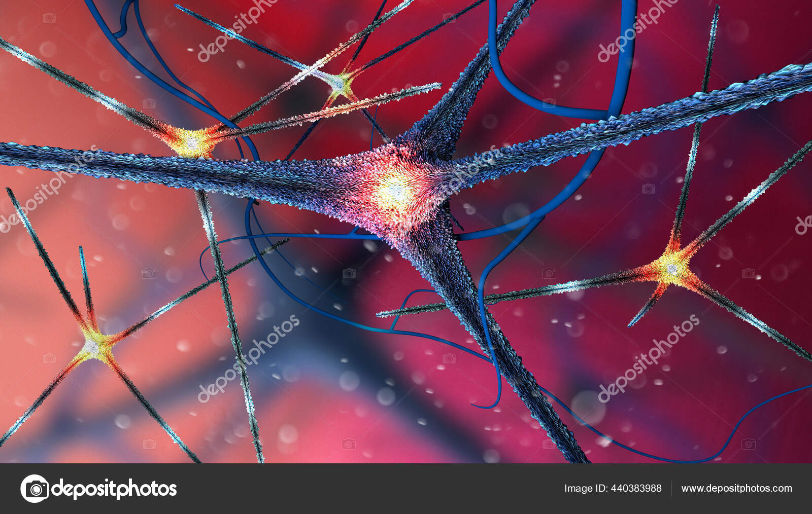 Microscopic Photography Brain