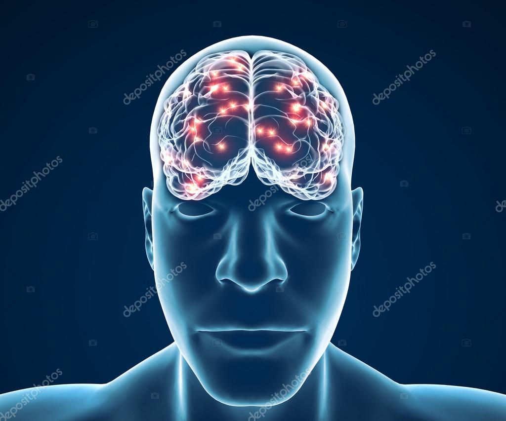 Brain neurons synapse ⬇ Stock Photo, Image by © vampy1 #52790983