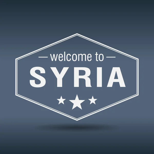 10,303,868 Welcome to syria Vector Images | Depositphotos