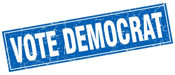 100,000 Democratic election Vector Images | Depositphotos