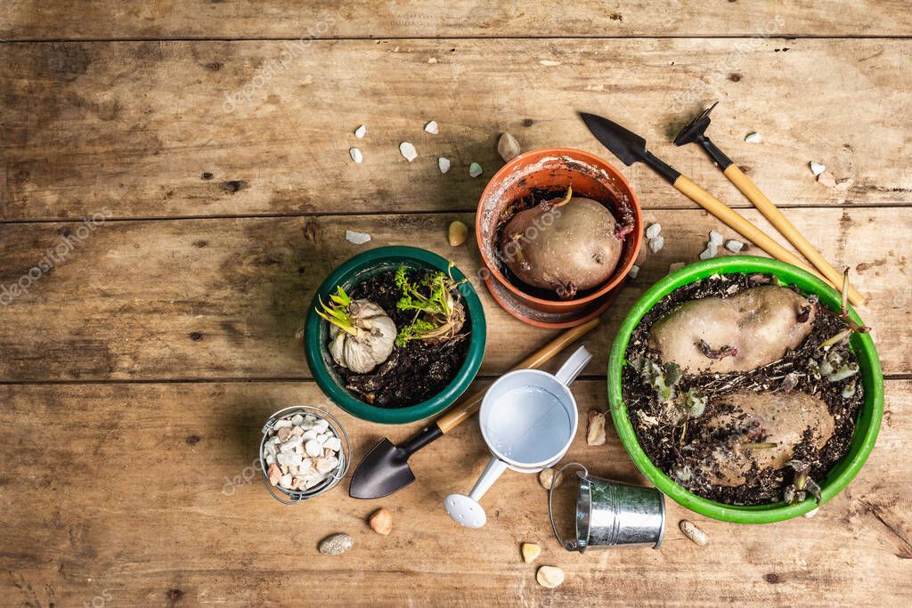 Concepto de plantaci n y jardiner a de primavera. Herramientas, regadera, macetas, cubos ...