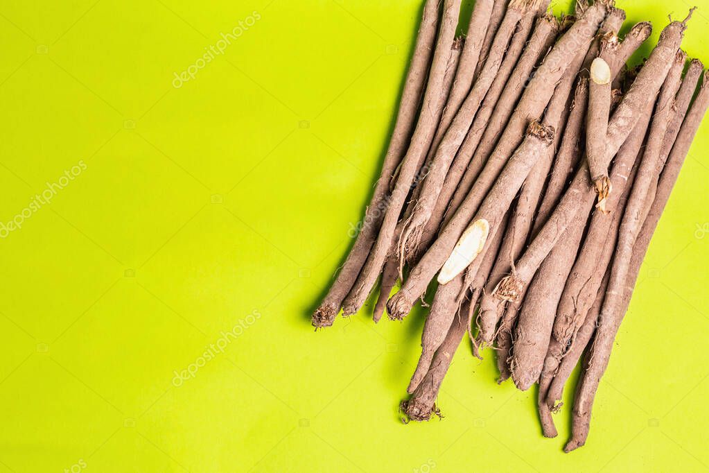 Cultivo de Scorzonera fresca sin pelar o salsify espa ol. Verduras ...
