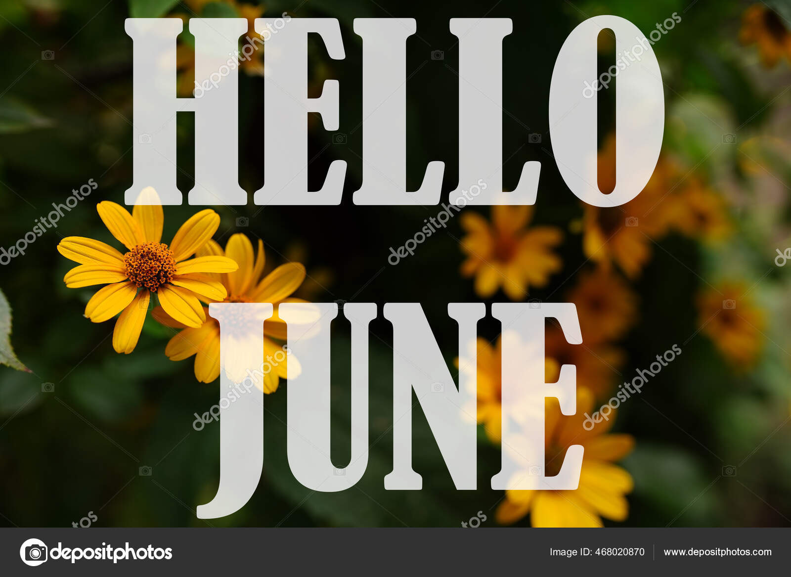 Hello June Facebook Cover