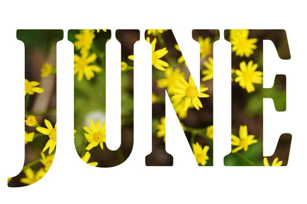 Happy june Stock Photos, Royalty Free Happy june Images | Depositphotos