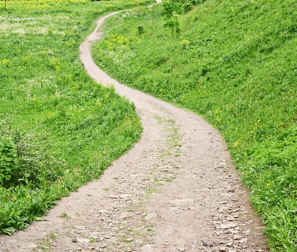 Outdoor winding path Stock Photo by ©exopixel 54399009