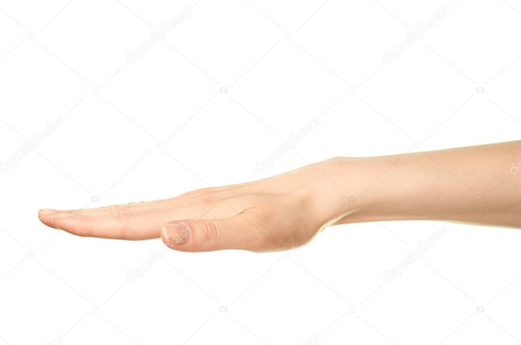 Gesture of opened palm — Stock Photo © exopixel #54781143