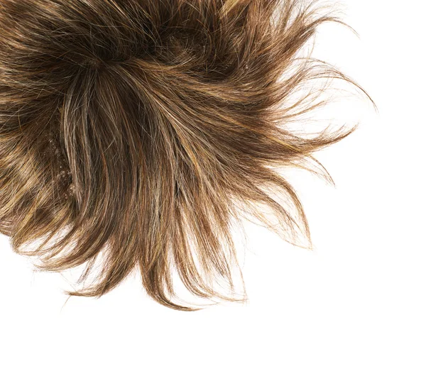 Hair scalp Stock Photos, Royalty Free Hair scalp Images | Depositphotos