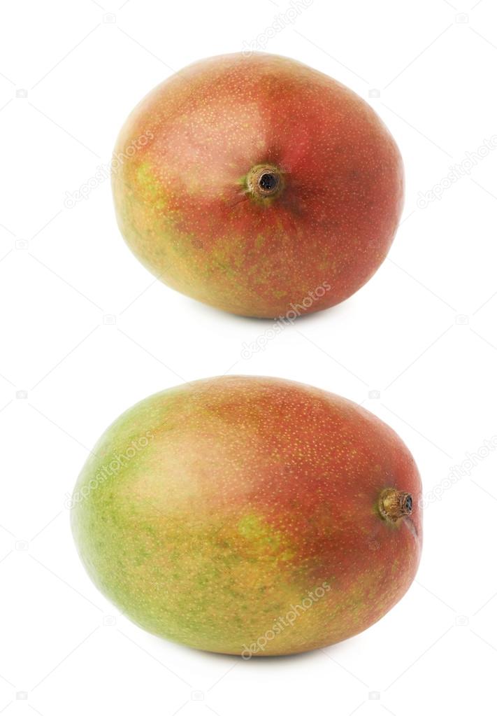 Single mango fruits — Stock Photo © exopixel #77457198