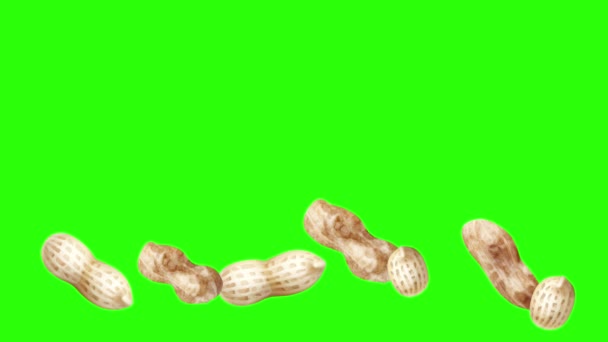 Peanuts Falling Animation Green Screen Chroma Key Background — Stock ...