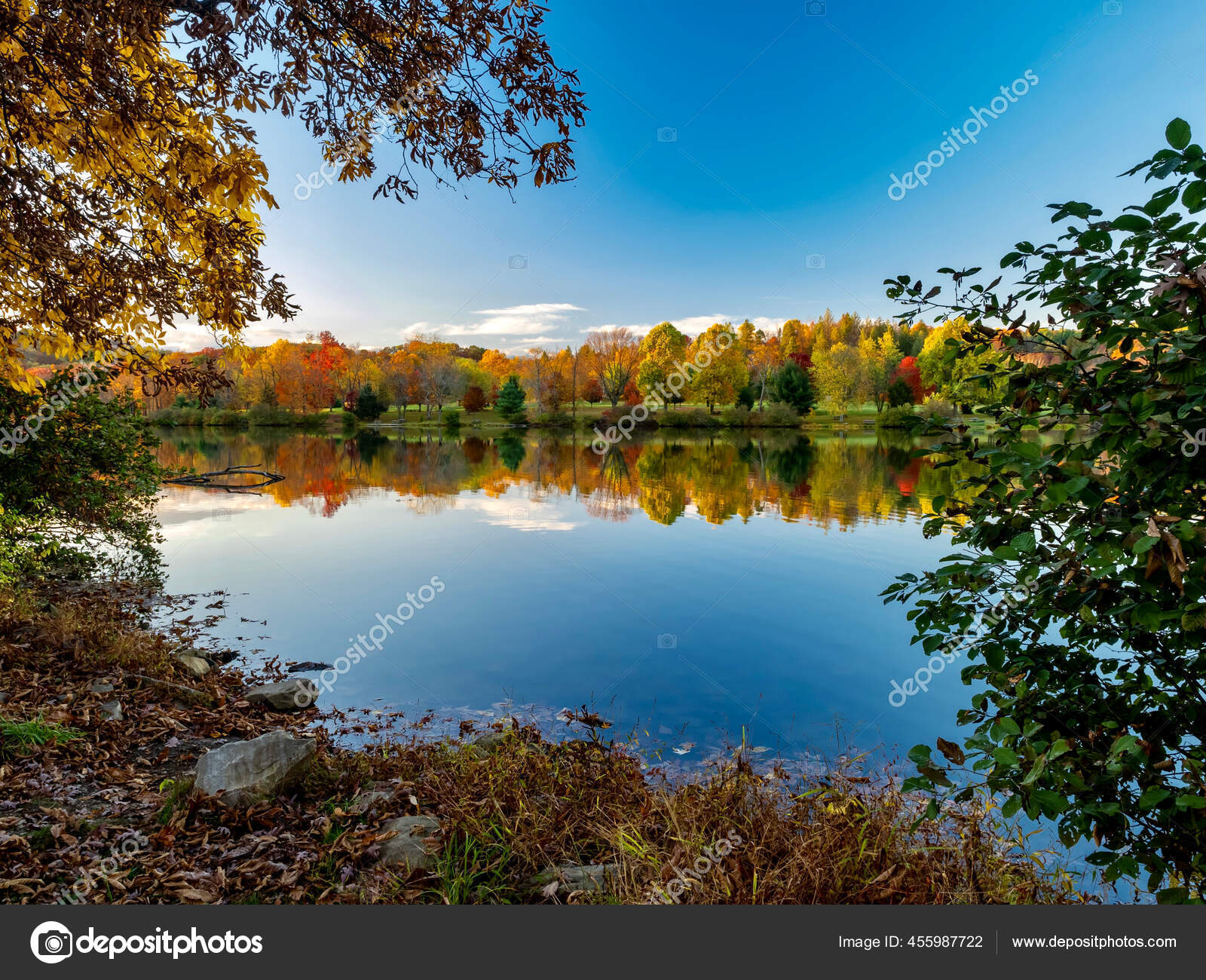 Are Dogs Allowed At Keystone State Park