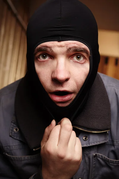 Demask Stock Photos, Royalty Free Demask Images | Depositphotos