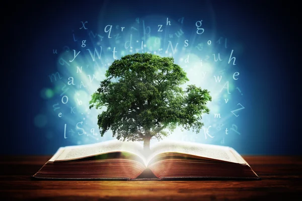 Tree of knowledge Stock Photos & Royalty-Free Images | Depositphotos