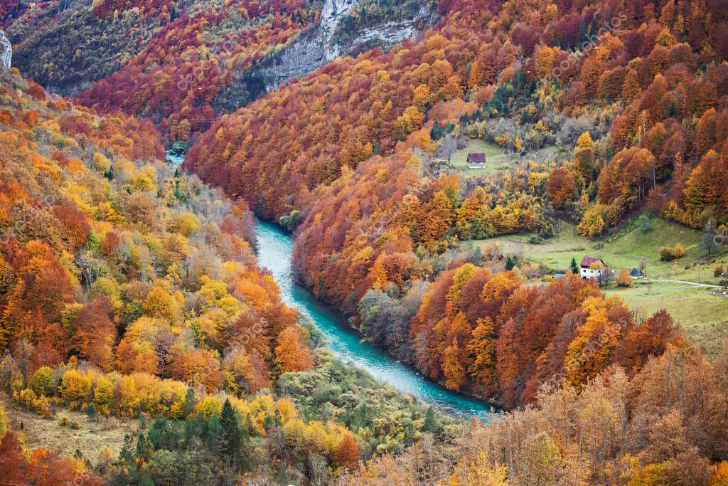 Hermosa vista de otoño sobre los árboles amarillos y el río Piva desde ...