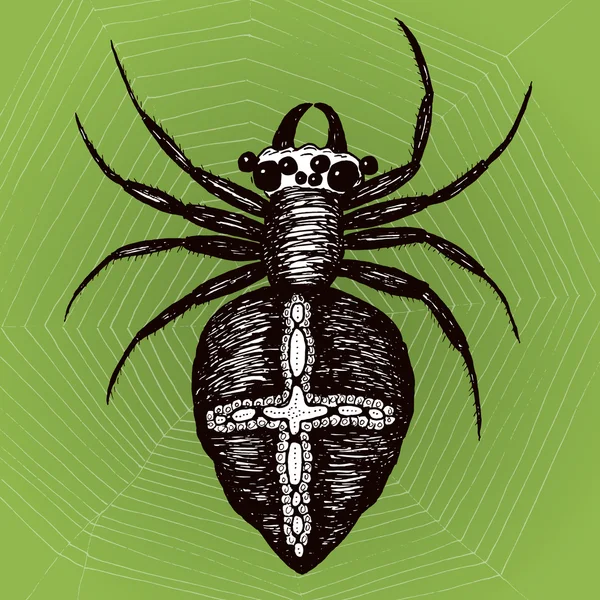 Spider shading style drawing — Stock Vector © goldenshrimp #156101286